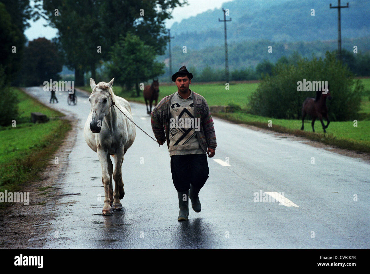 A Gypsy farmer leads a horse, Romania Stock Photo - Alamy