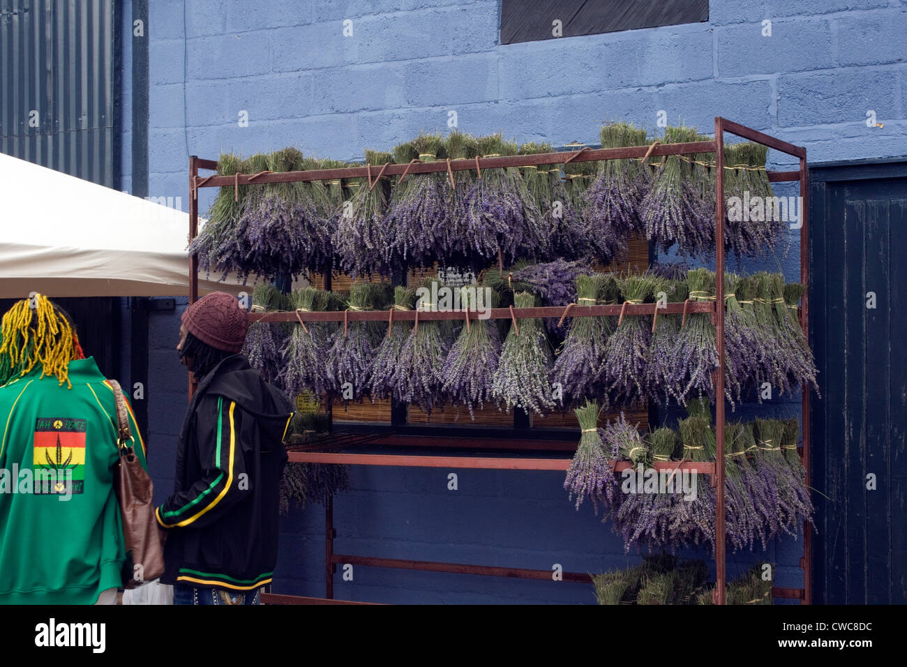 Two Rastafarian people browse around the Hop Farm Lavender festival in ...