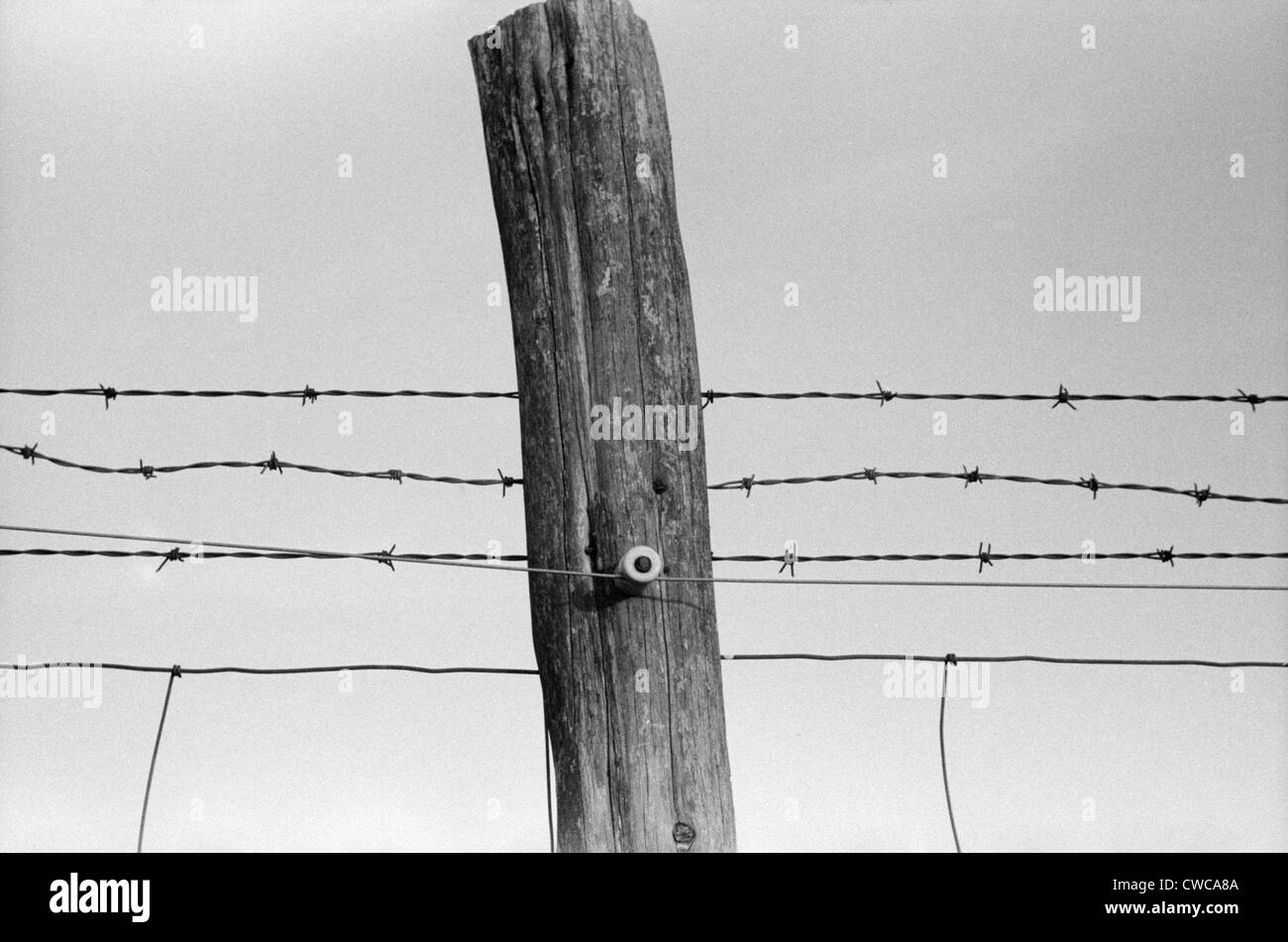 Electrified barbed wire fence. As the New Deal's Rural electrification ...