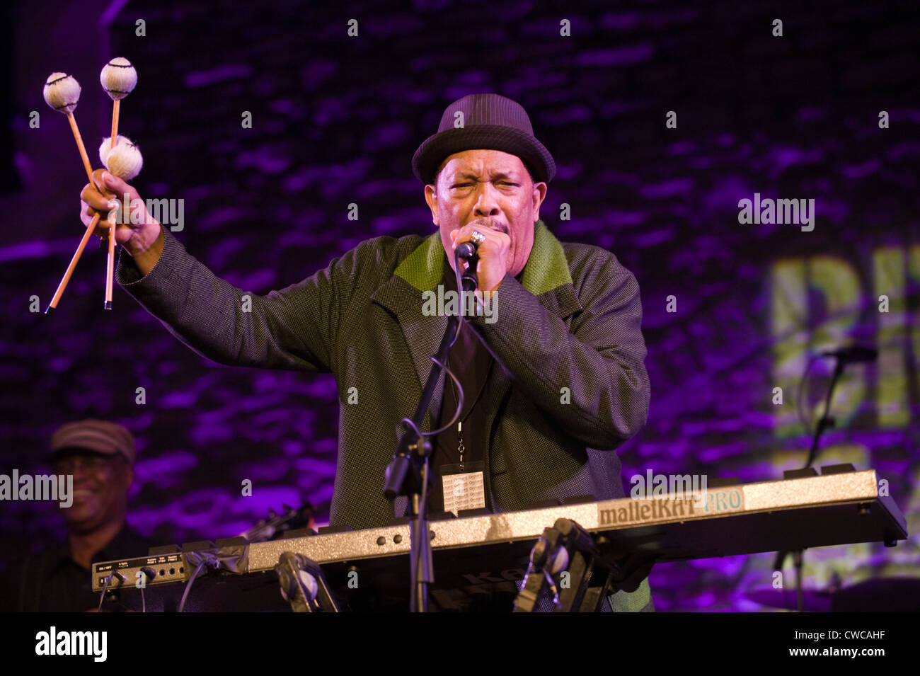 Vibraphone player hi-res stock photography and images - Alamy