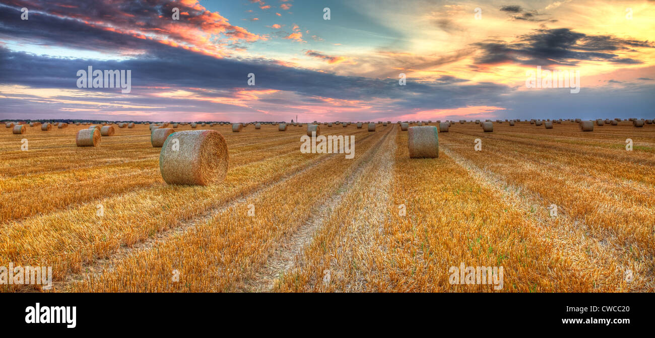 Beautiful sunset over a field with bales of hay Stock Photo - Alamy