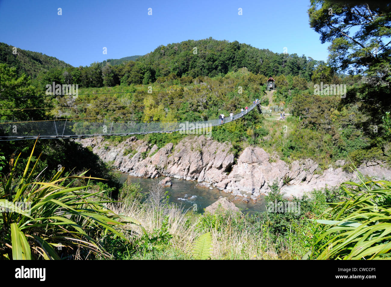New Zealand's longest swing bridge across the Buller River at Buller ...