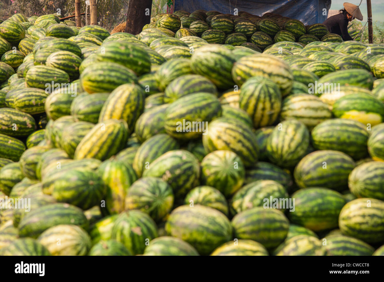 Watermelon vendor near Mandalay, Myanmar Stock Photo - Alamy