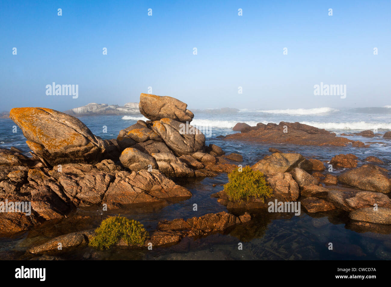 Namaqualand Diamond Coast, Kleinzee, Northern Cape, South Africa Stock ...