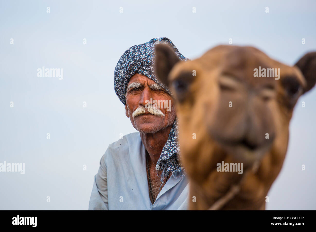 Pakistan camel hi-res stock photography and images - Alamy