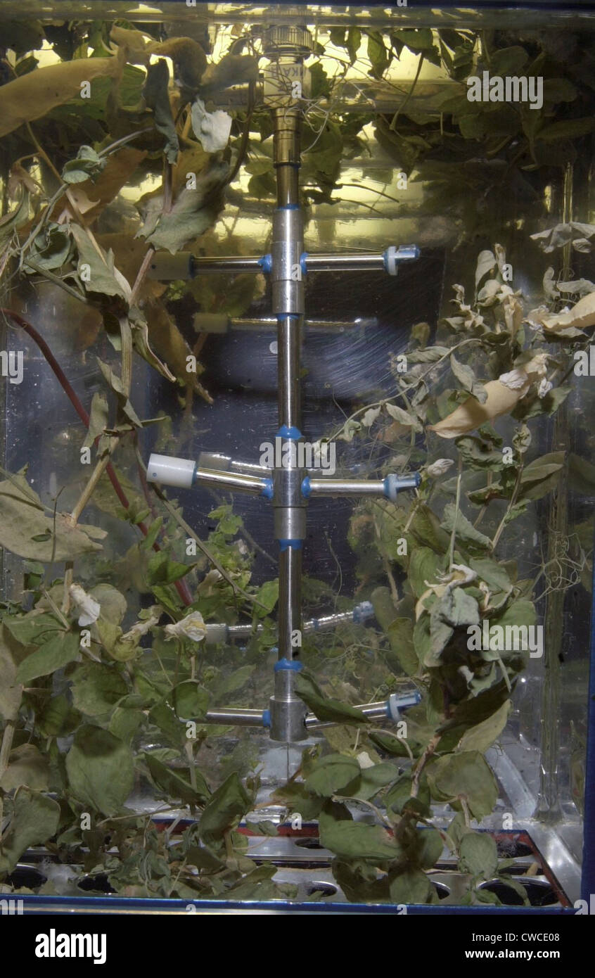 Russian Lada greenhouse on the International Space Station. It is an ...