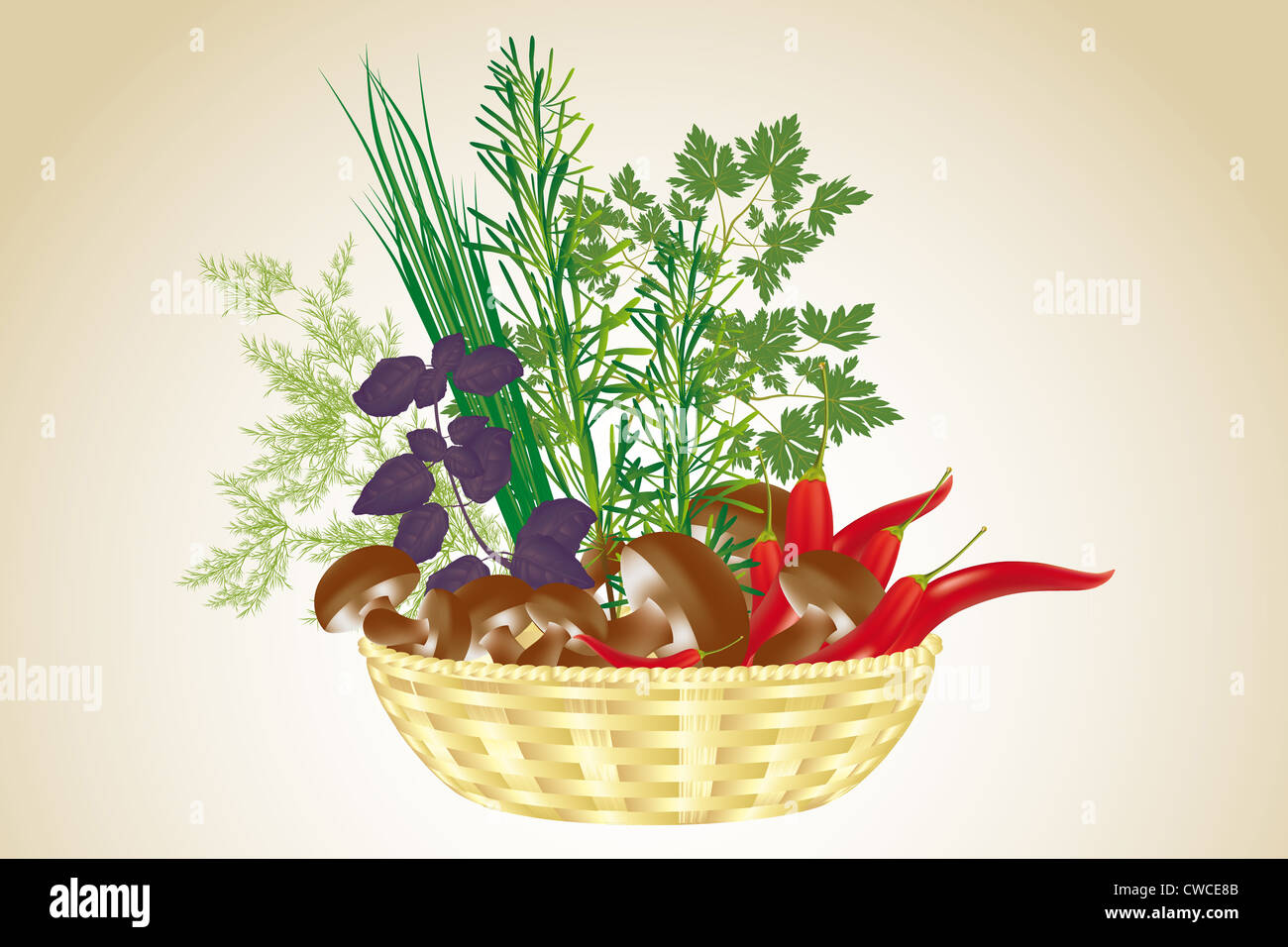 Hand drawn illustration of various fresh ingredients for a healthy food ...