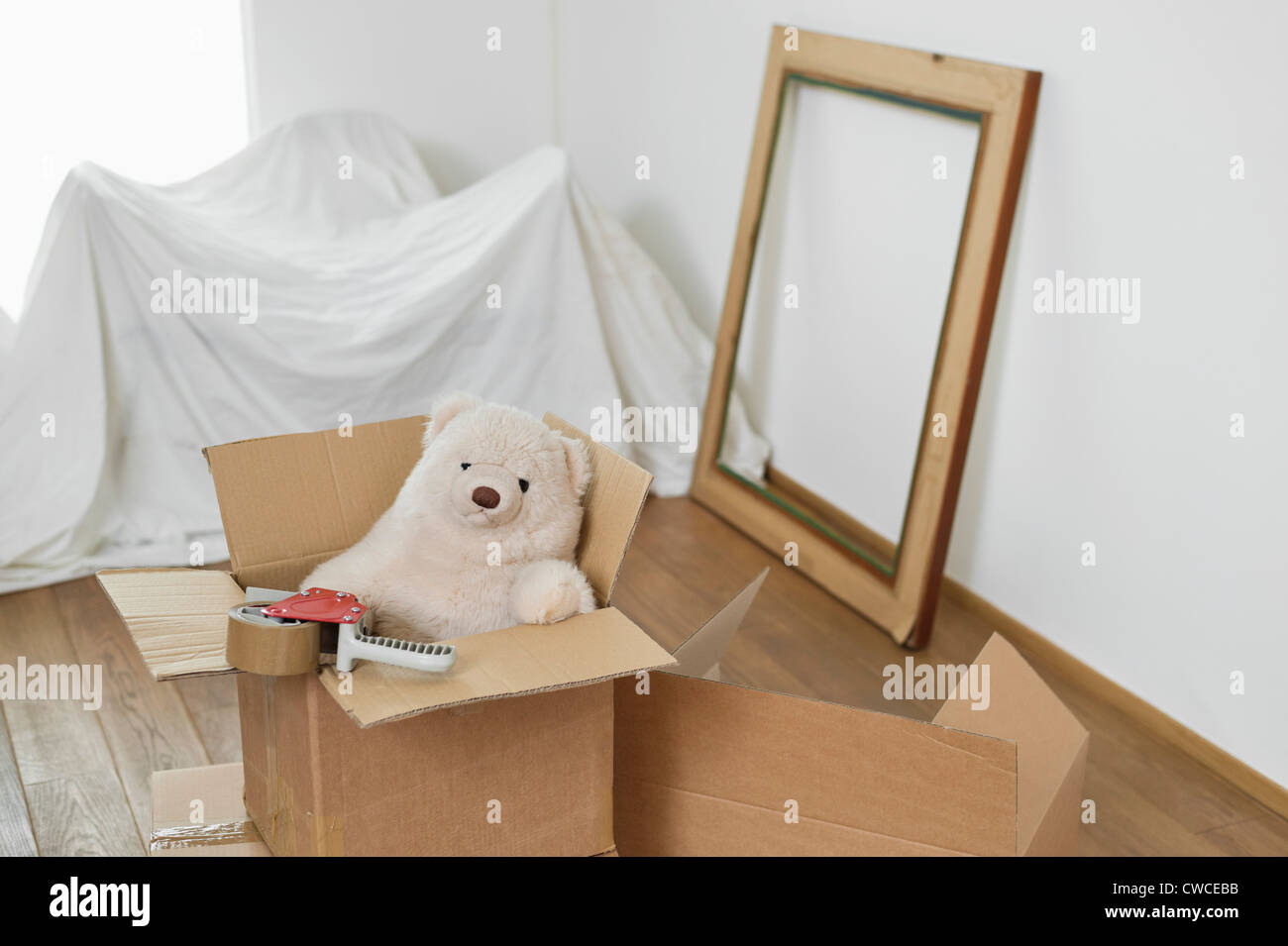 Teddy bear in a cardboard box Stock Photo - Alamy