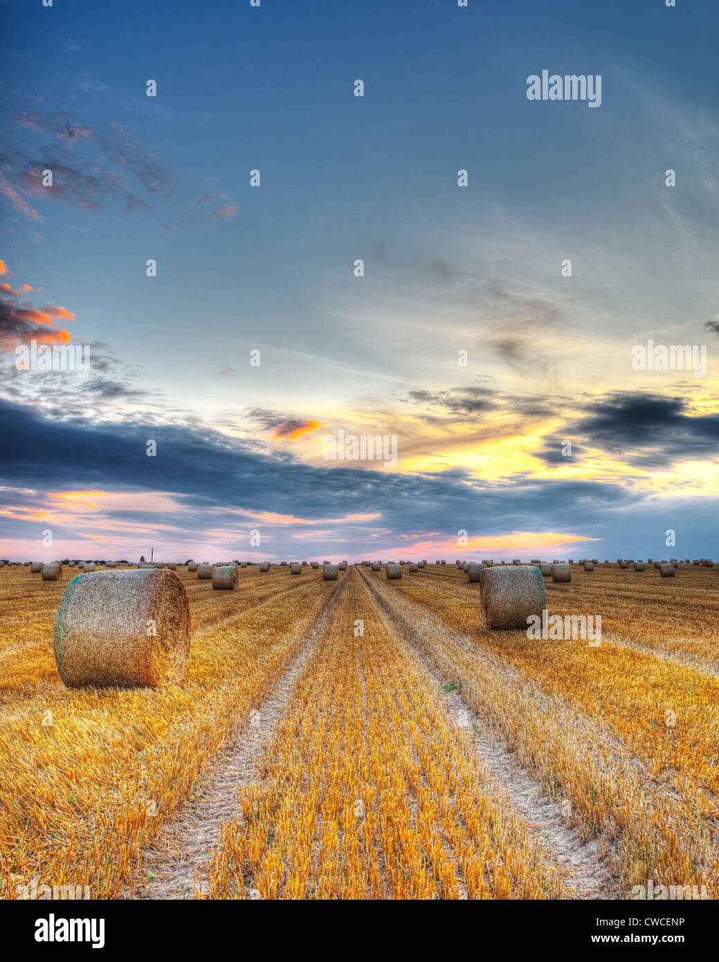 Beautiful sunset over a field with bales of hay Stock Photo - Alamy