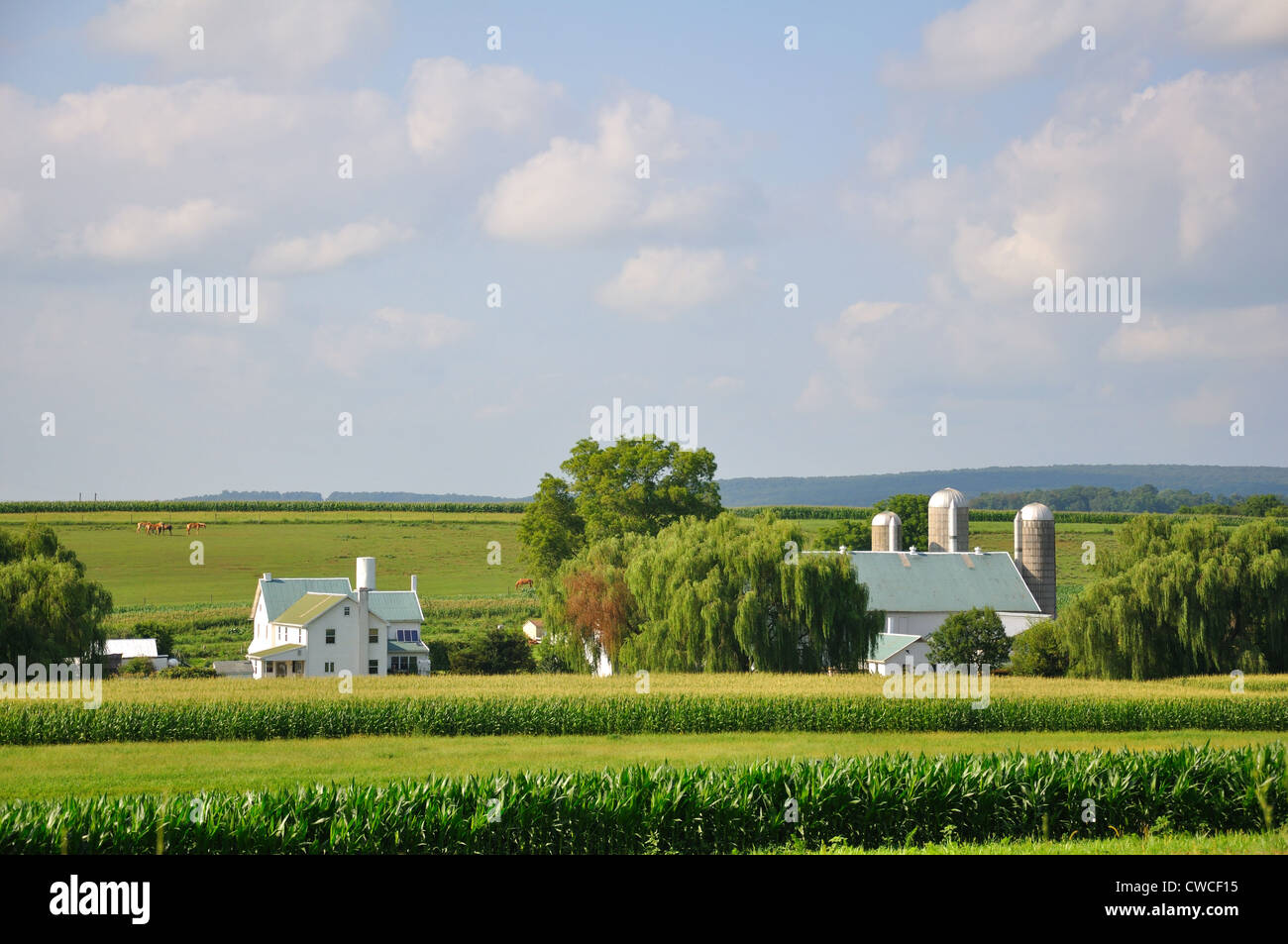 Amish farm, Lancaster County, Pennsylvania, USA Stock Photo - Alamy