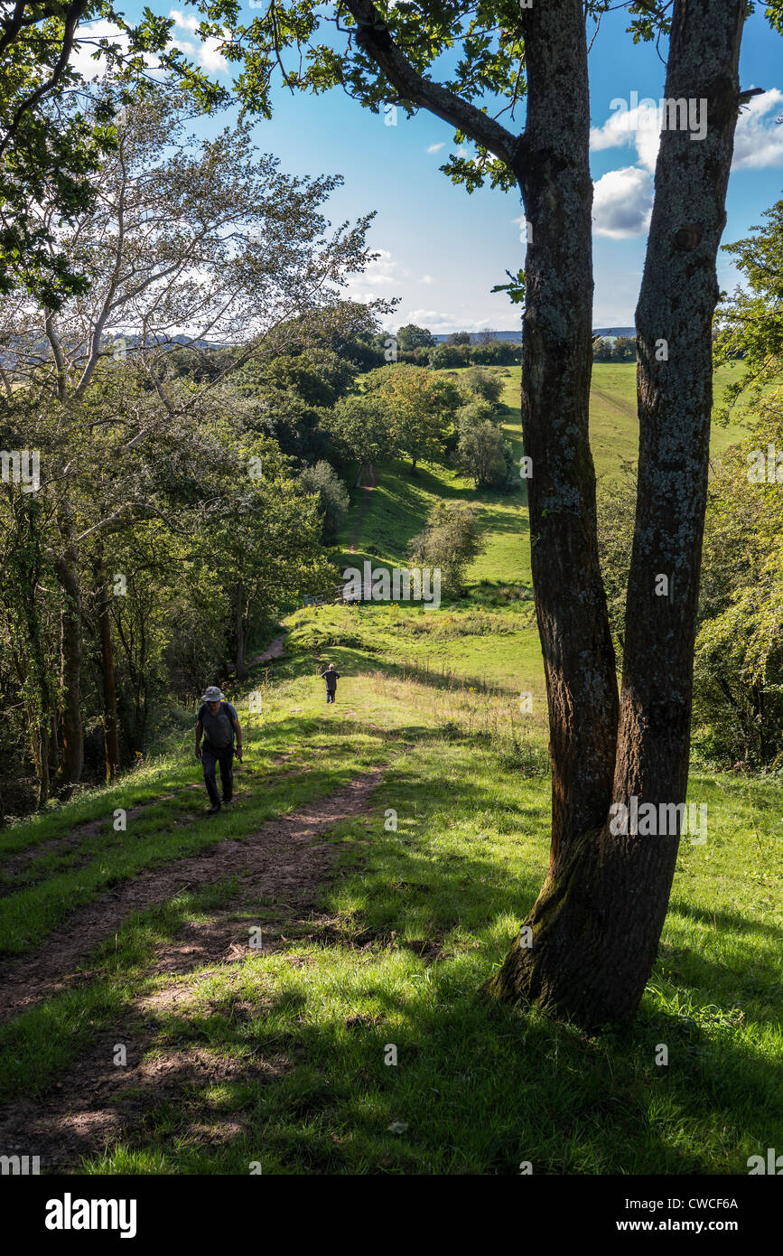 START OF OFFA'S DYKE PATH SHOWING EARTH WORKS AND TWO WALKERS.THE WALK ...