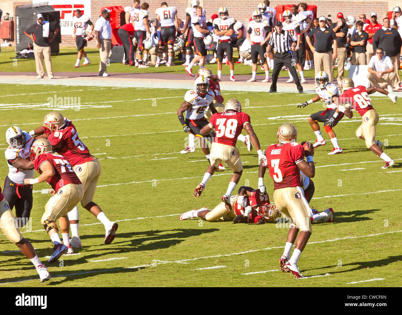 EJ Manuel, FSU Quarterback, during home game against Maryland Stock ...