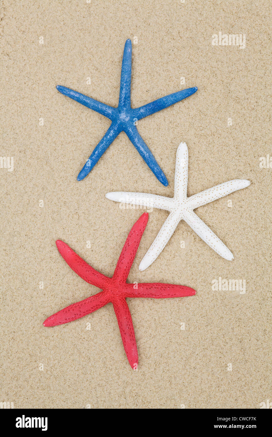 painted starfish on a beach Stock Photo - Alamy