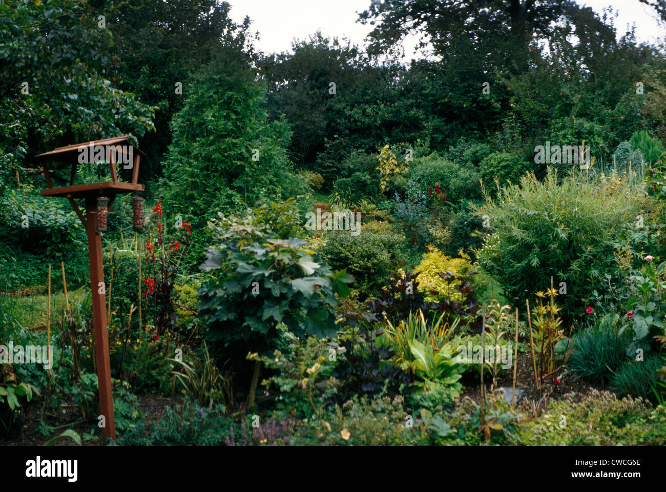 Cornwall England Garden In Quarry Land Fill Site Bird Table Stock Photo ...