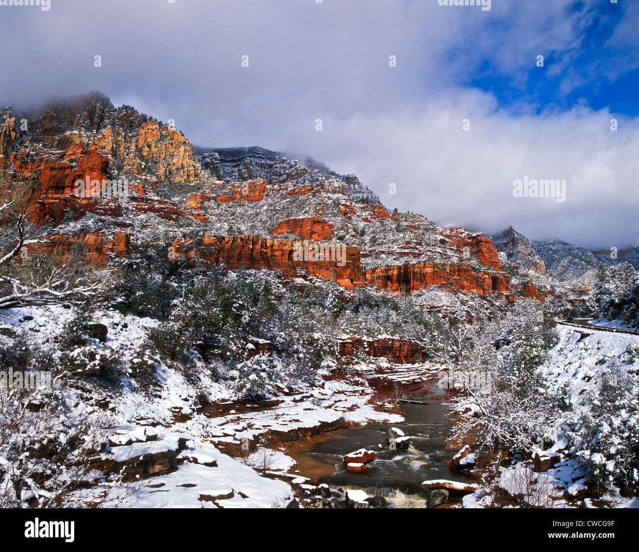 Red rocks secret mountain wilderness hi-res stock photography and ...