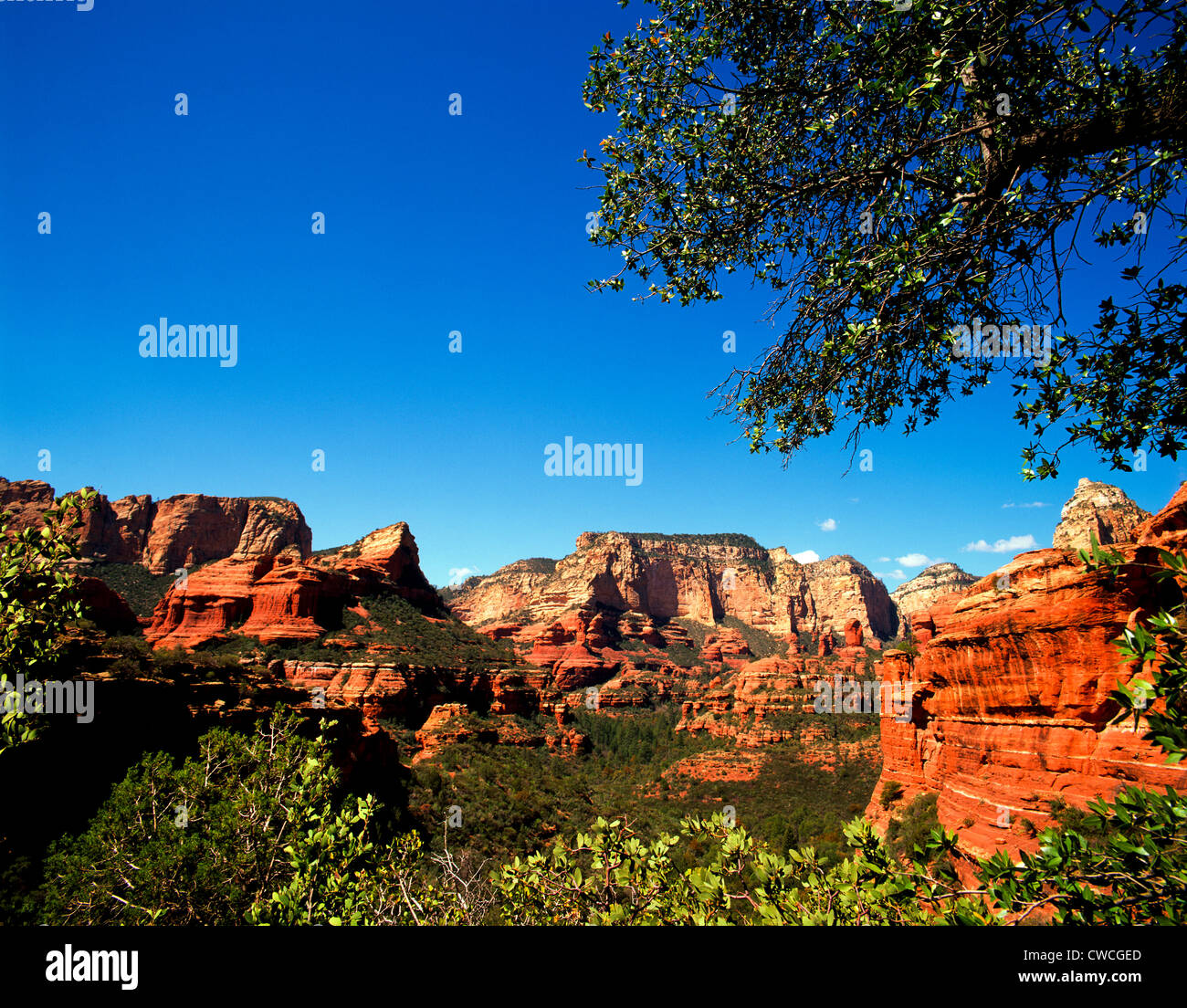 Boynton Canyon, Red Rock-Secret Mountain Wilderness. Arizona. Boynton ...