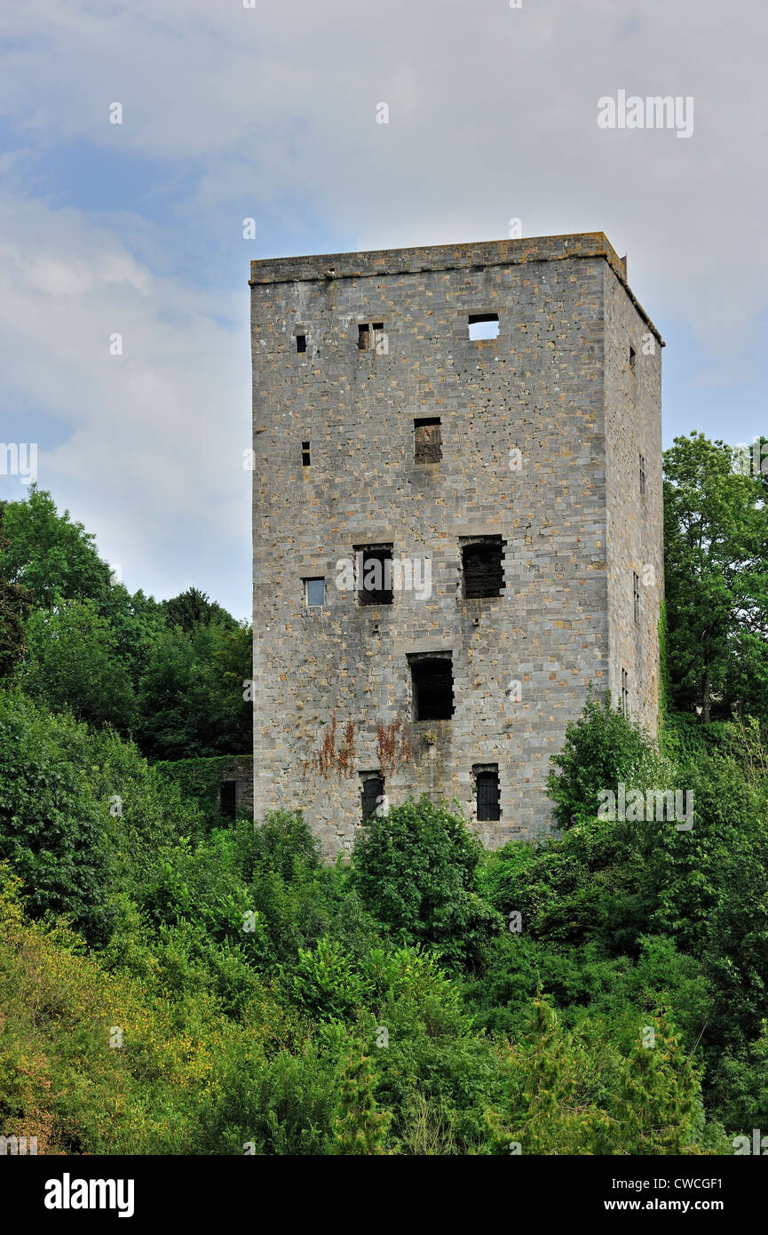 Salamander tower hi-res stock photography and images - Alamy