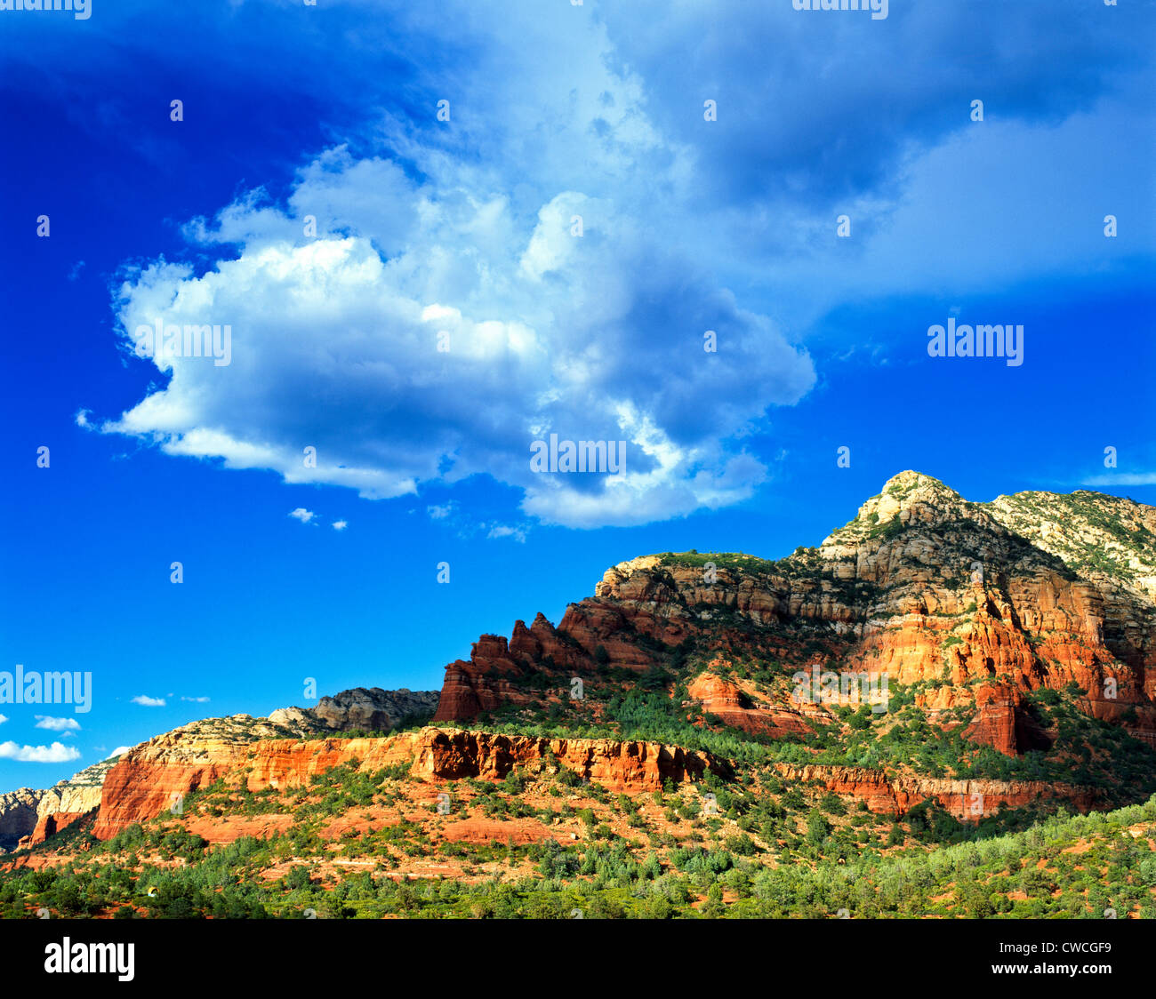 Thunderheads growing, summer monsoon, Red Rock Secret Mountain ...