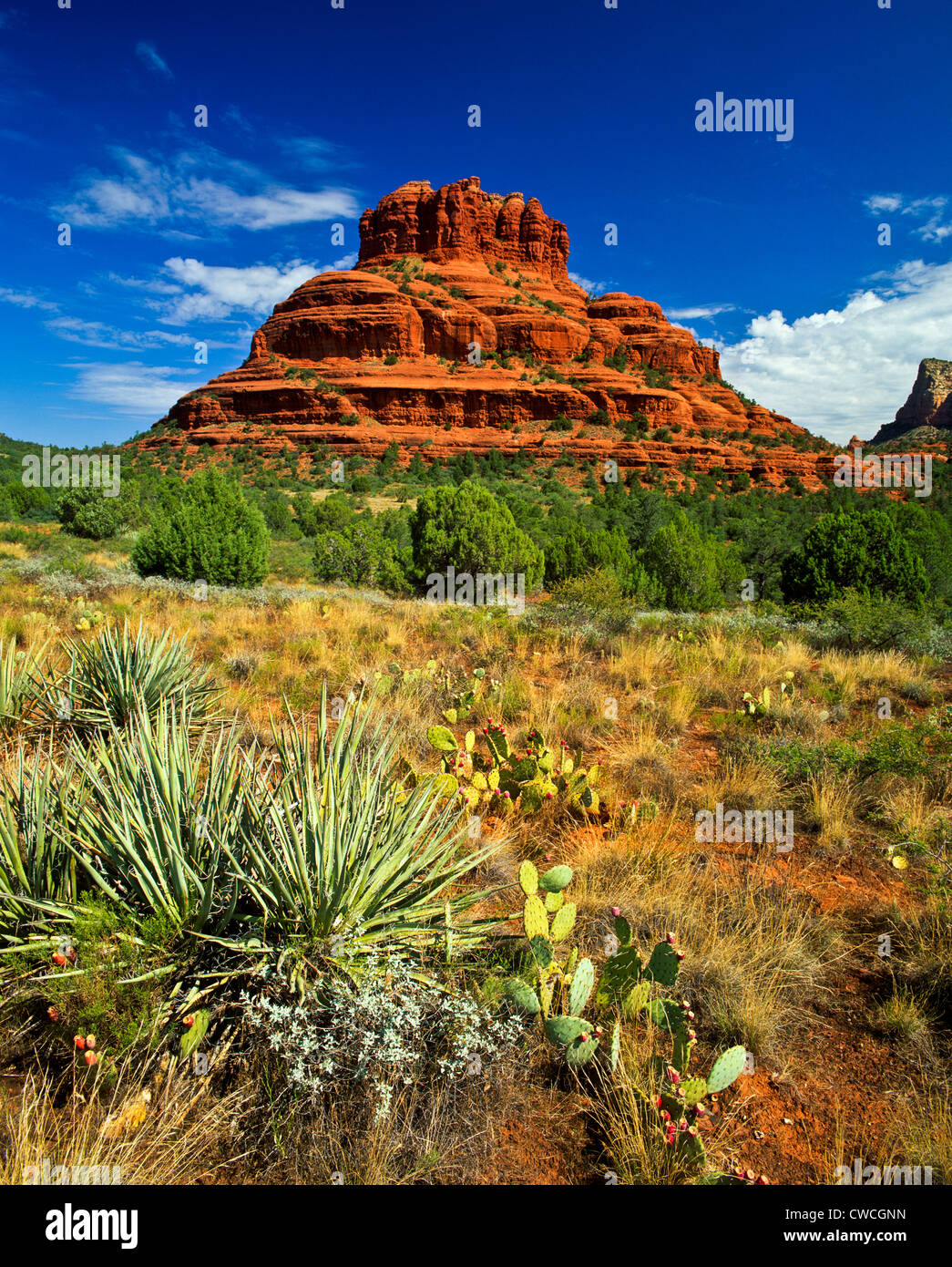Famous Rock formation "Bell Rock", Sedona, Arizona. Bell Rock is a ...