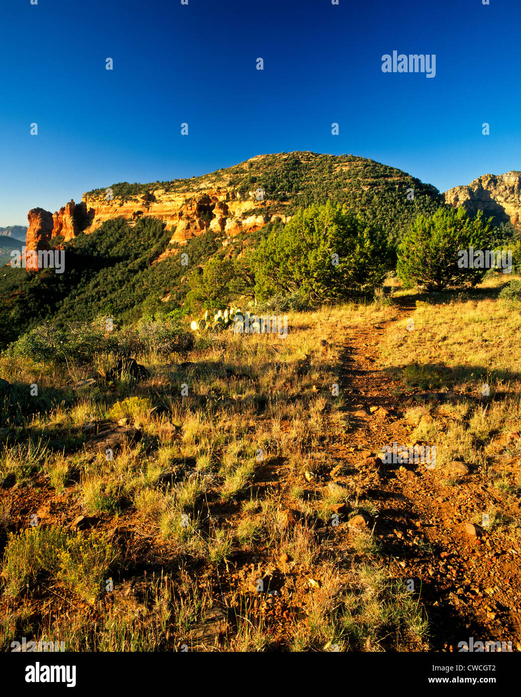 Brins Mesa Trail north of Sedona, Arizona. Red-Rock Secret Mountain ...