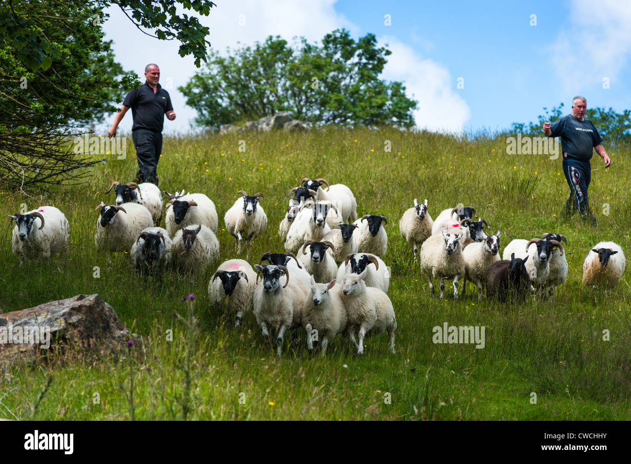 Ireland donegal farm work hi-res stock photography and images - Alamy