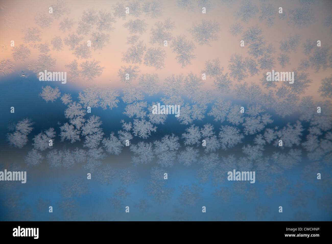 Ice on a window, Seward, Alaska Stock Photo - Alamy