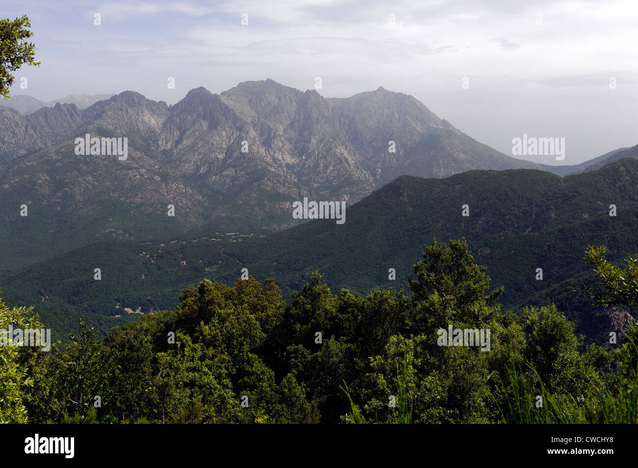 Gravona-Valley near Ajaccio, Corsica, France Stock Photo - Alamy