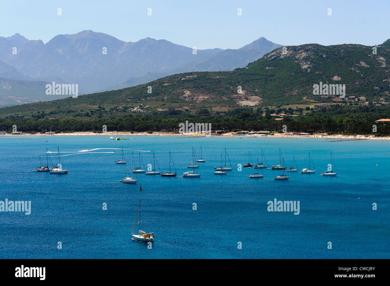 Strand of Calvi, Corsica, France Stock Photo - Alamy