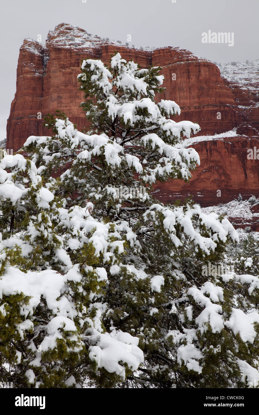 Winter snow, Sedona, Arizona Stock Photo - Alamy