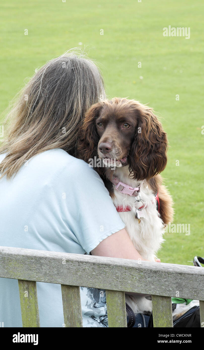 Lady on park bench hugging her Springer Spaniel dog Stock Photo - Alamy
