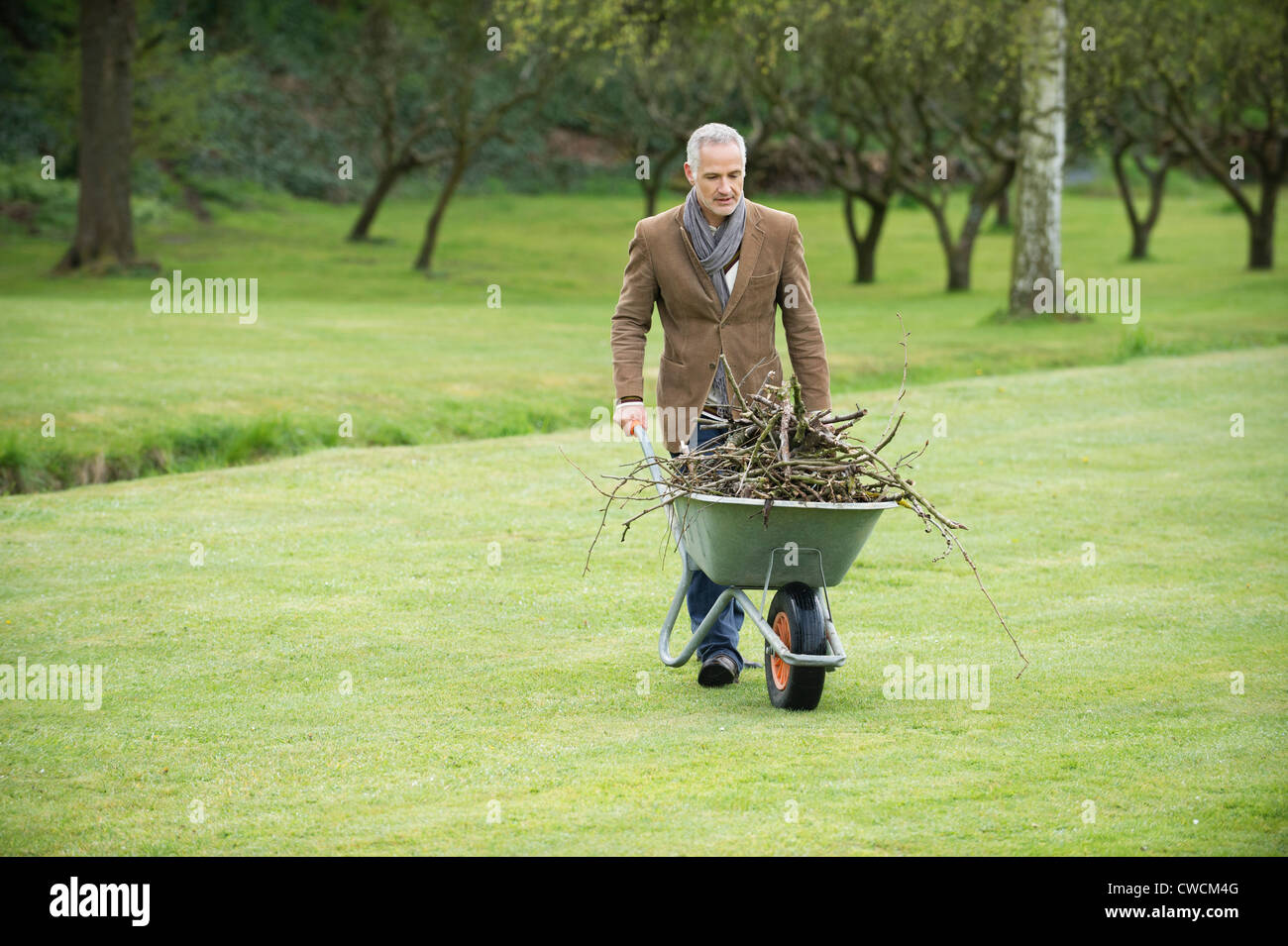 Man collecting firewood in a park Stock Photo - Alamy
