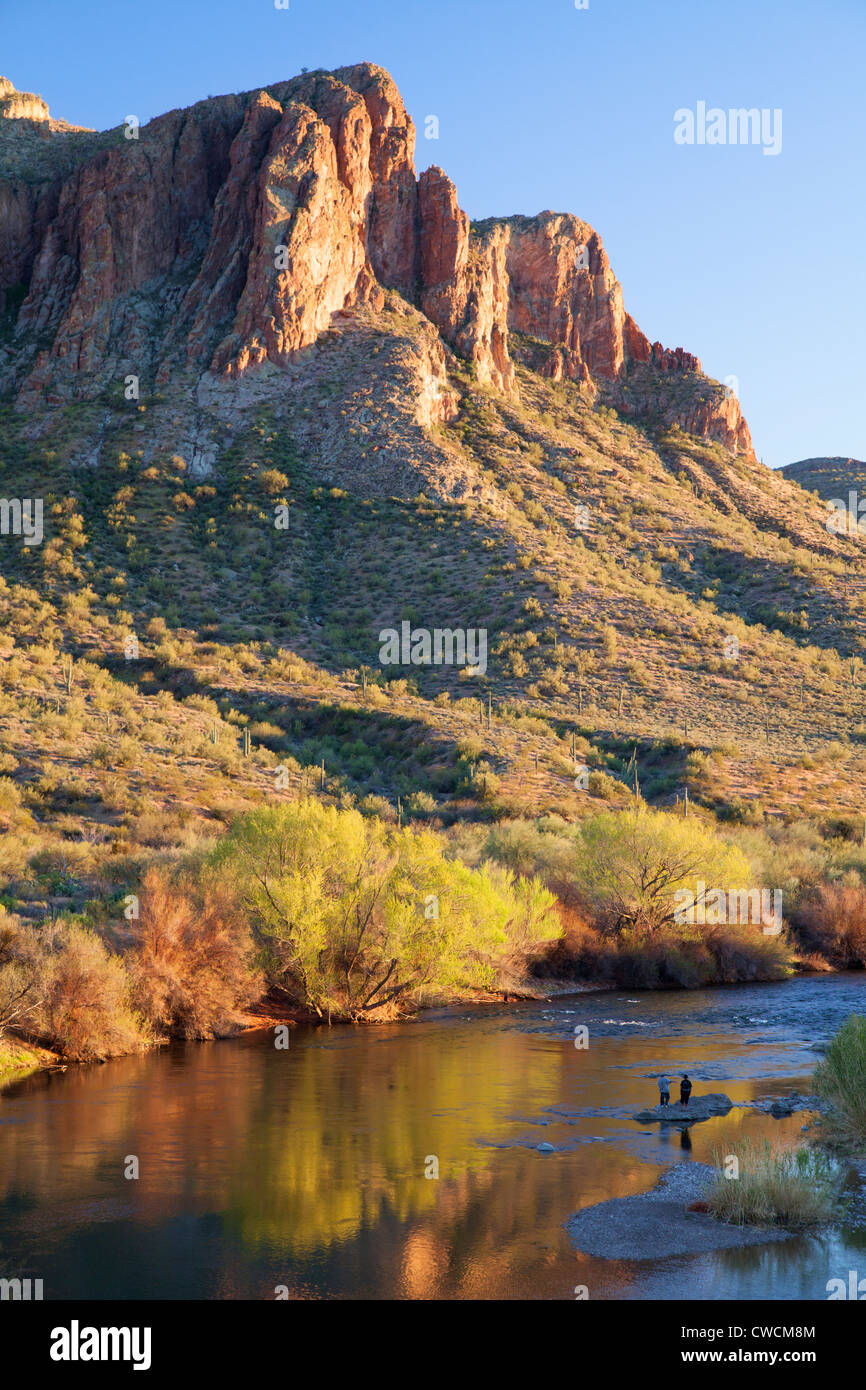 The Salt River, Tonto National Forest, East of Phoenix, Arizona Stock ...