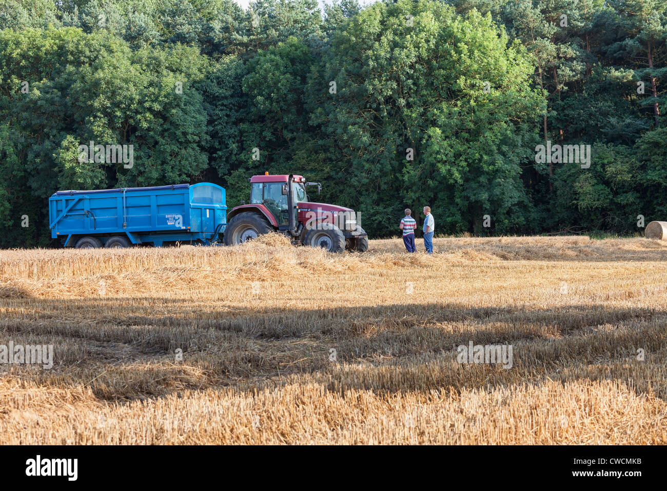 Farmers harvesting their crop while the sun shines in the beautiful ...