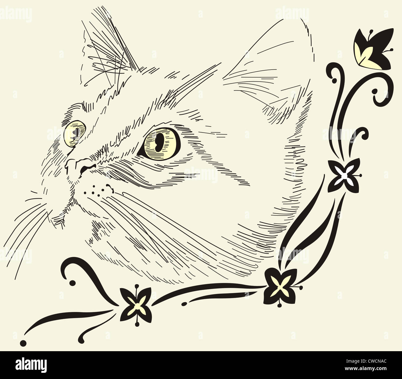 Decorative corner with nice cat. Vector sketch Stock Photo - Alamy