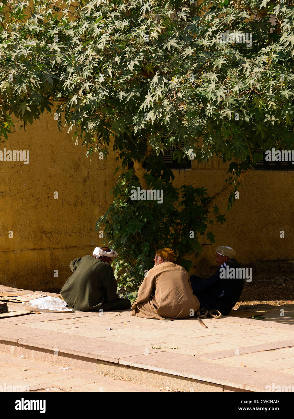 in the Souk or Market of Aswan in Southern Egypt Stock Photo - Alamy