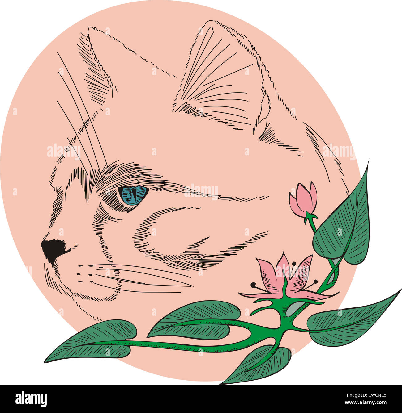 Decorative corner with nice cat. Vector sketch Stock Photo - Alamy