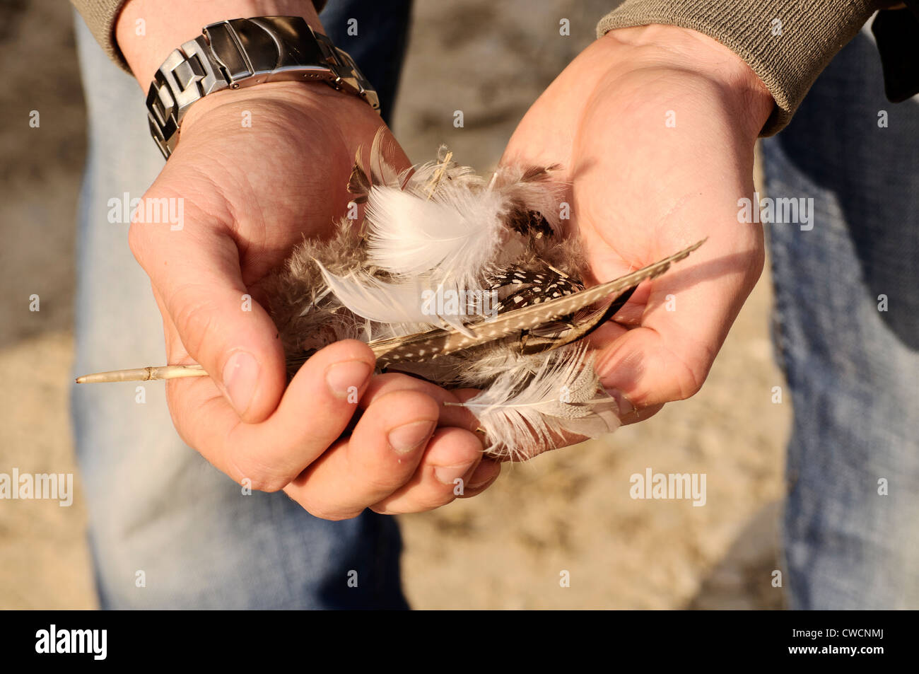 Mix of feathers hi-res stock photography and images - Alamy