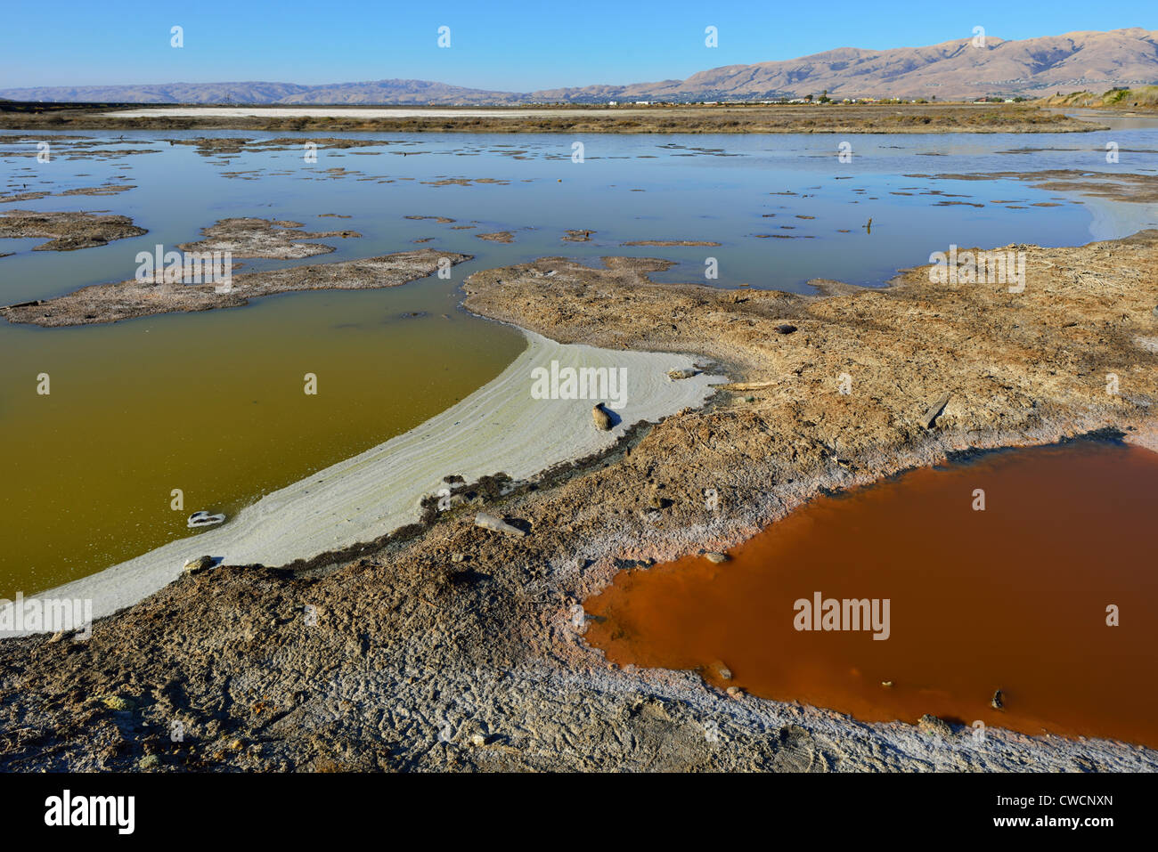 Alviso Marina County Park, San Jose CA Stock Photo - Alamy