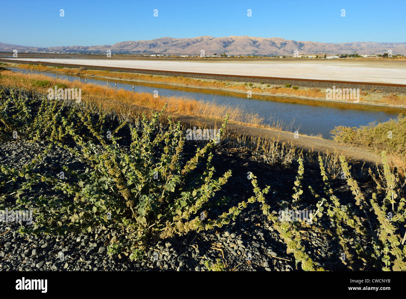 Alviso Marina County Park, San Jose CA Stock Photo - Alamy