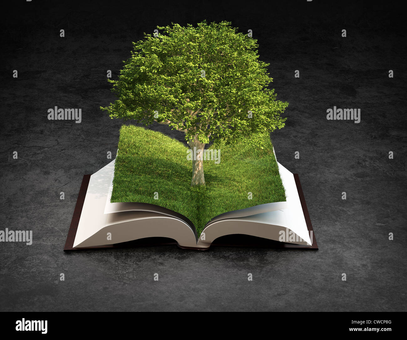 Open book - knowledge and creativity concept Stock Photo - Alamy