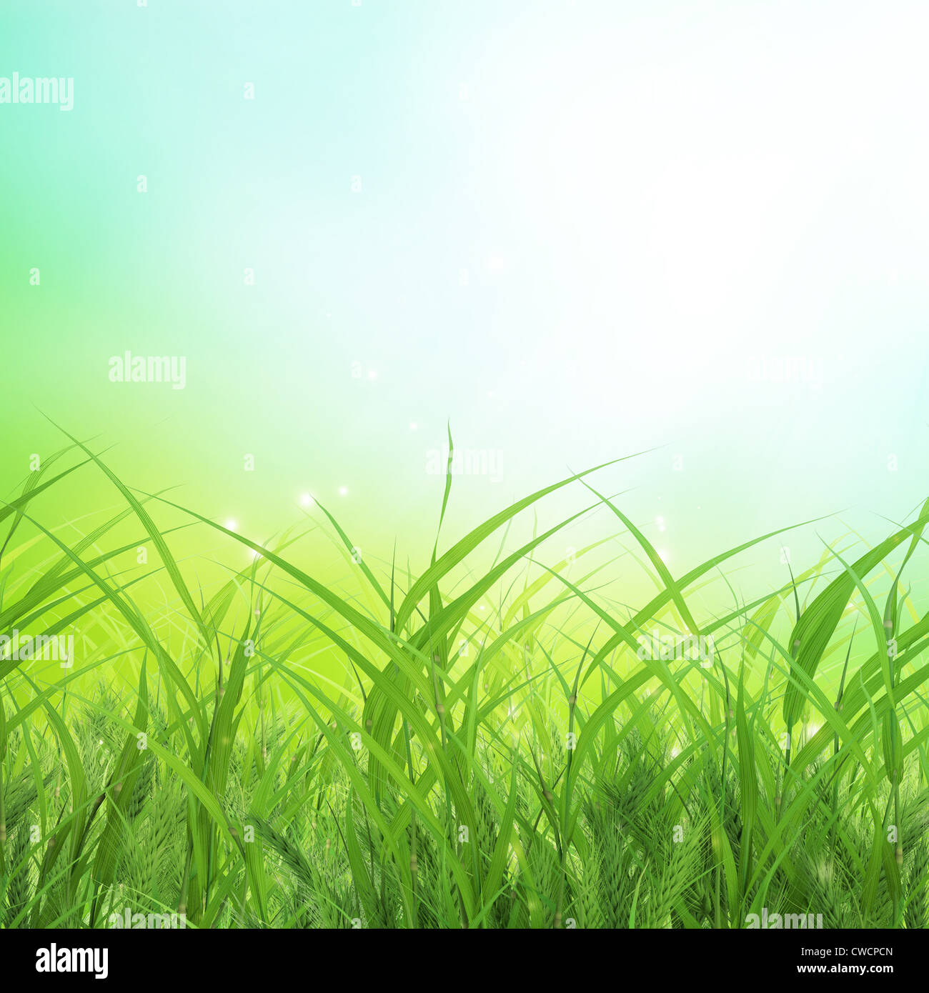 A soft pastel spring grass background Stock Photo - Alamy