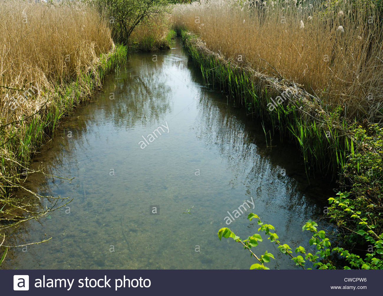 Clear Stream Stock Photos & Clear Stream Stock Images - Alamy
