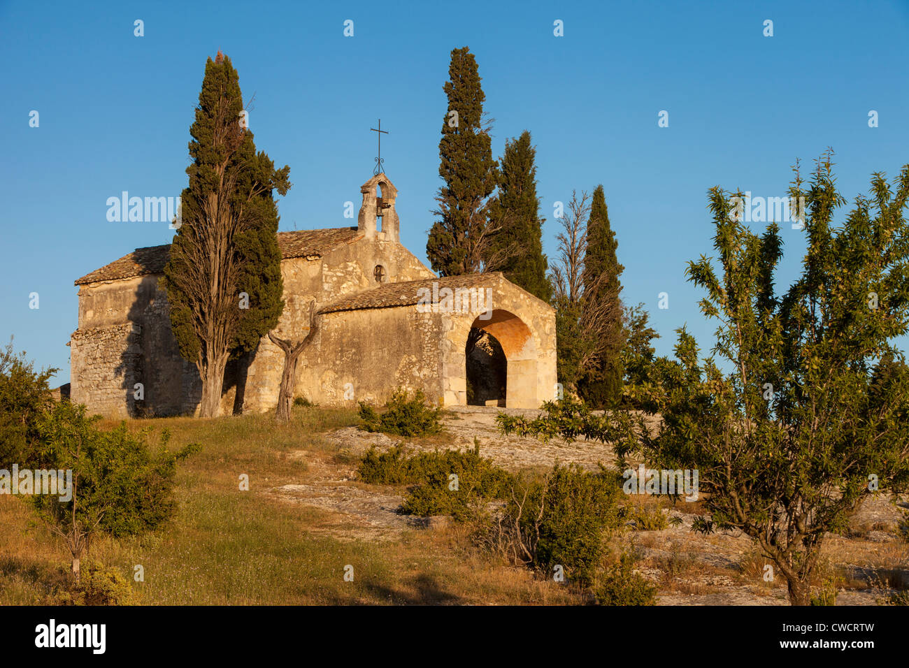 France french cypress trees hi-res stock photography and images - Alamy