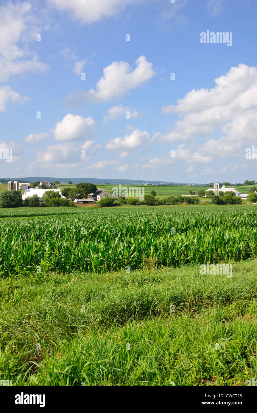 Amish countryside lancaster pennsylvania hi-res stock photography and ...