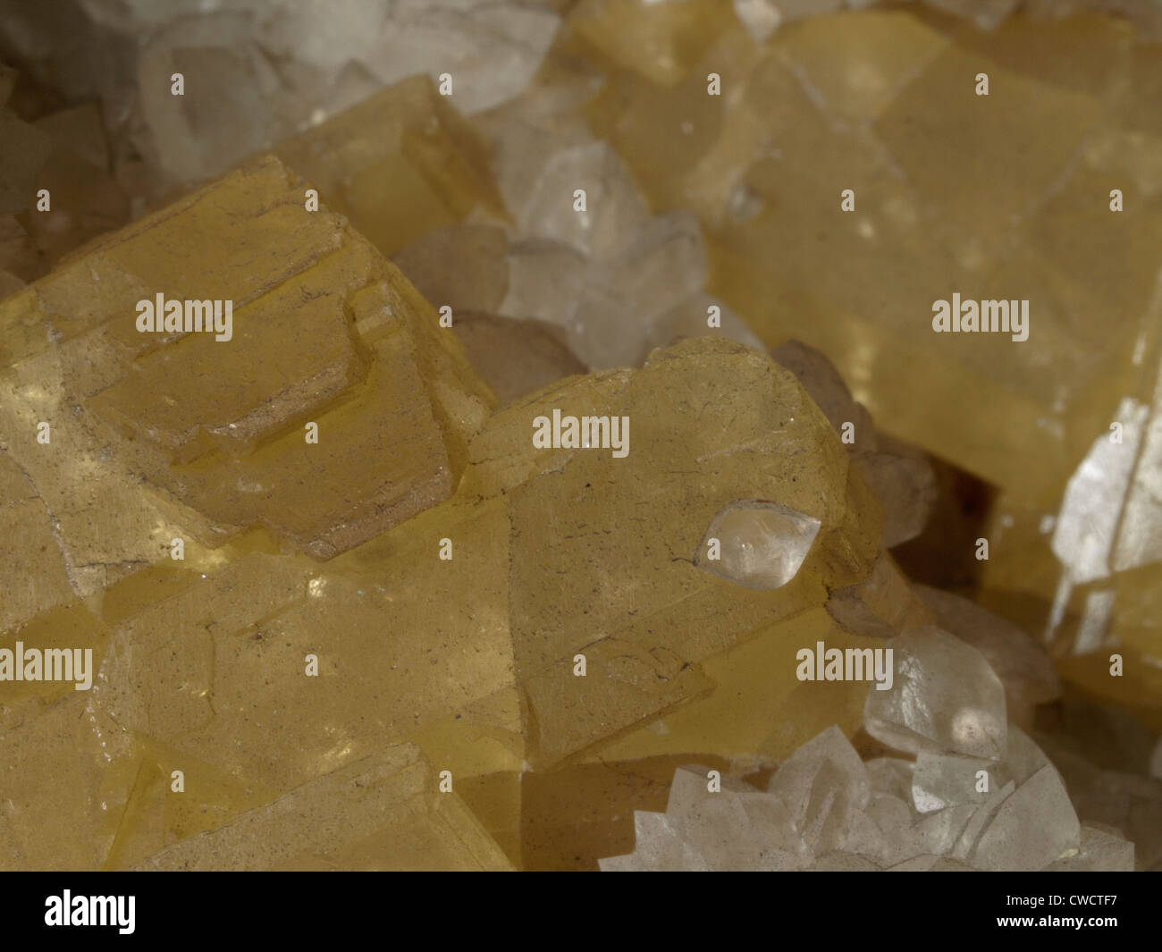 Native sulfur in aragonite; Caltanissetta, Italy. Photograph covers ...