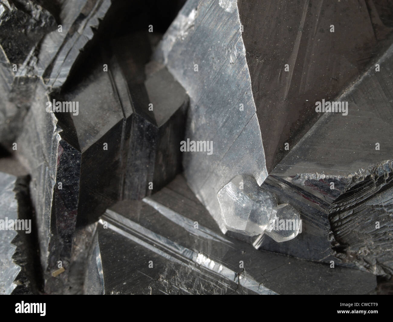 Calcite crystals on larger sphalerite formation; Trepca, Kosovo ...