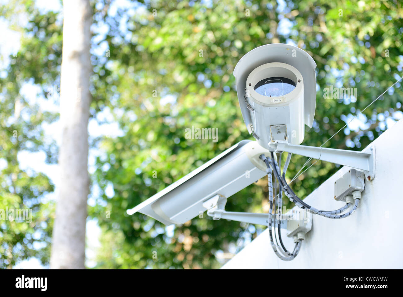 Cctv on the tree hi-res stock photography and images - Alamy
