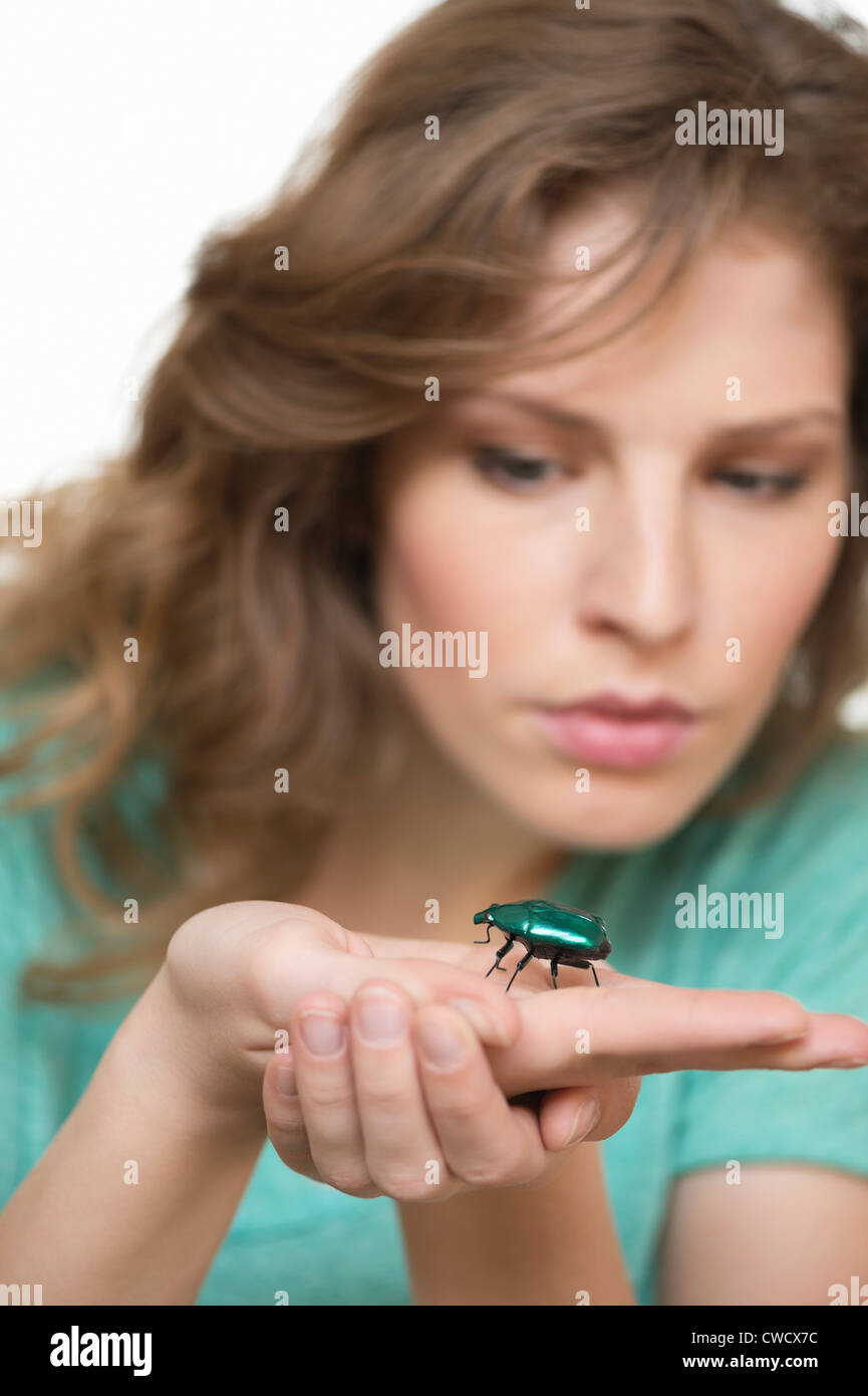 Human hand holding beetle close up hi-res stock photography and images ...