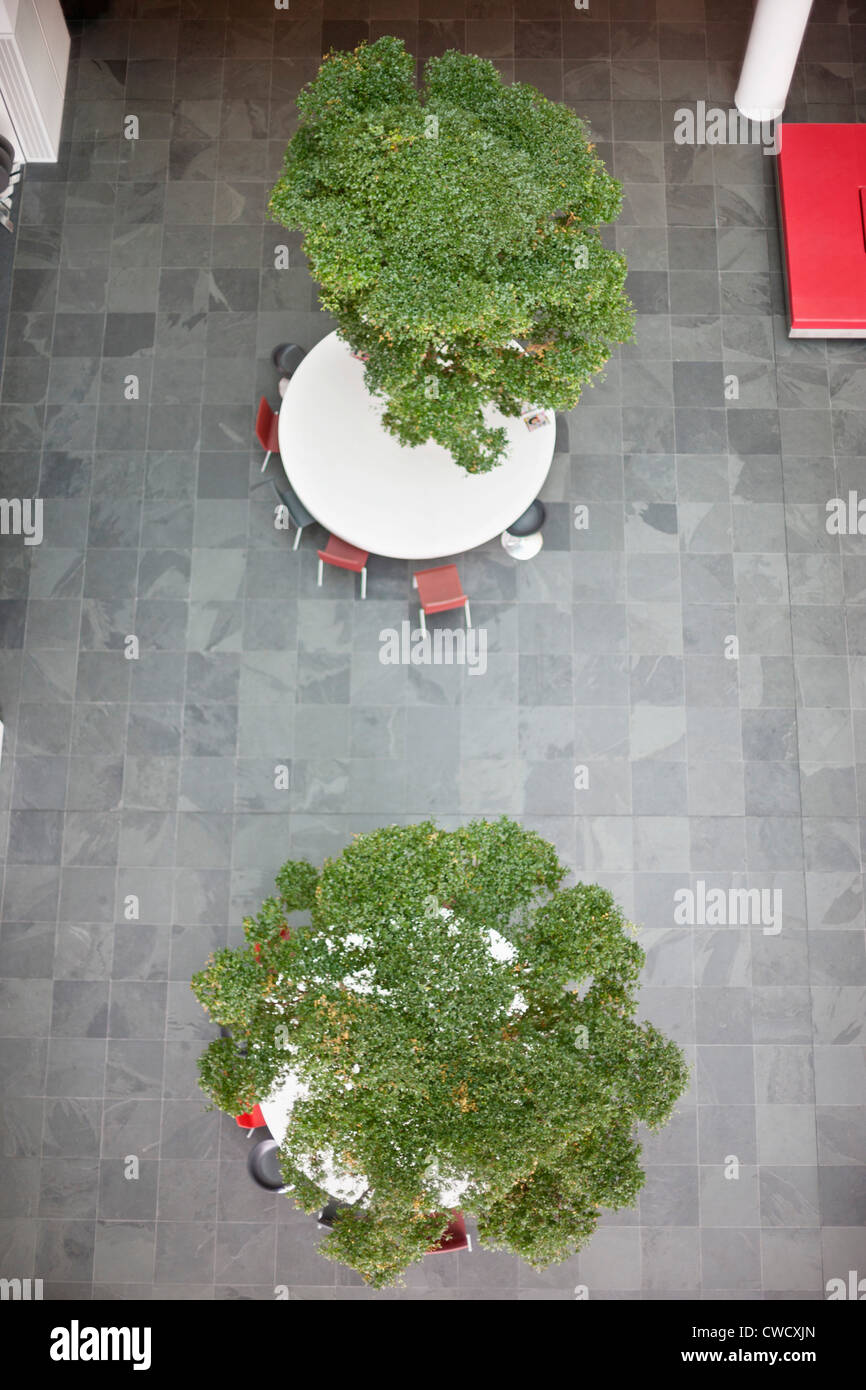 High angle view of bonsai trees growing on tables in an office lobby ...