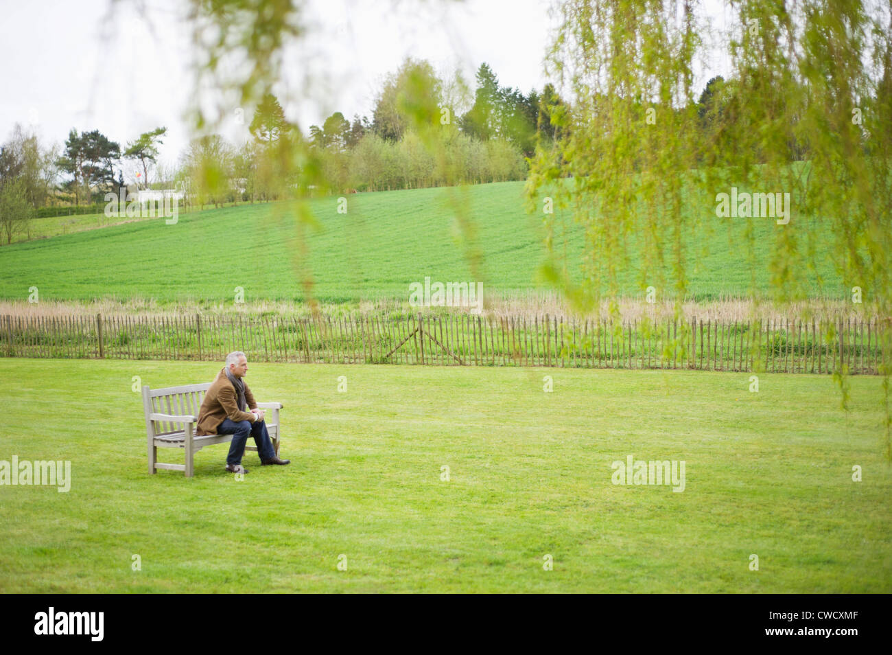 Man sitting on a bench in a field Stock Photo - Alamy